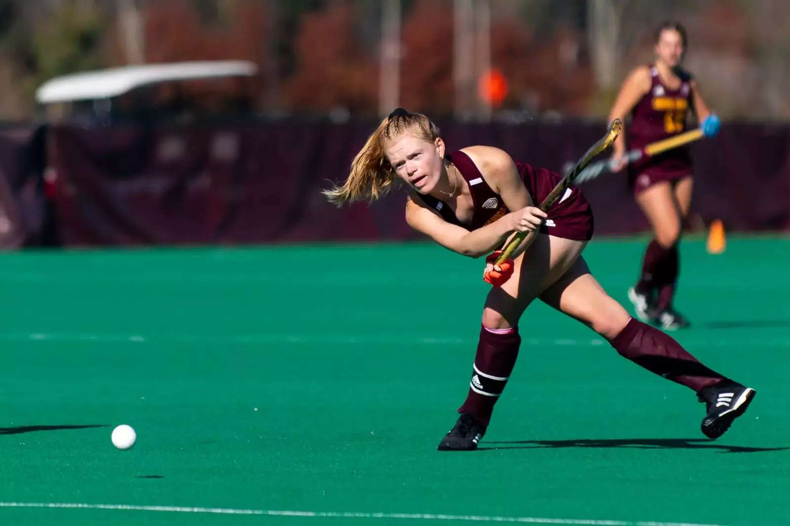 Central Michigan University