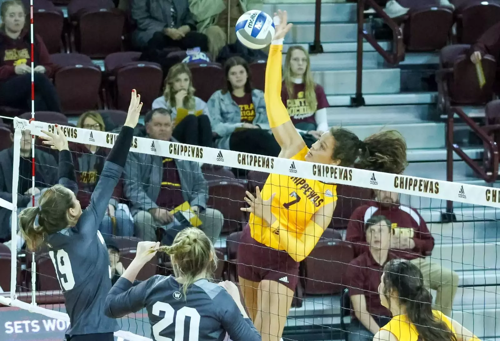 Central Michigan University