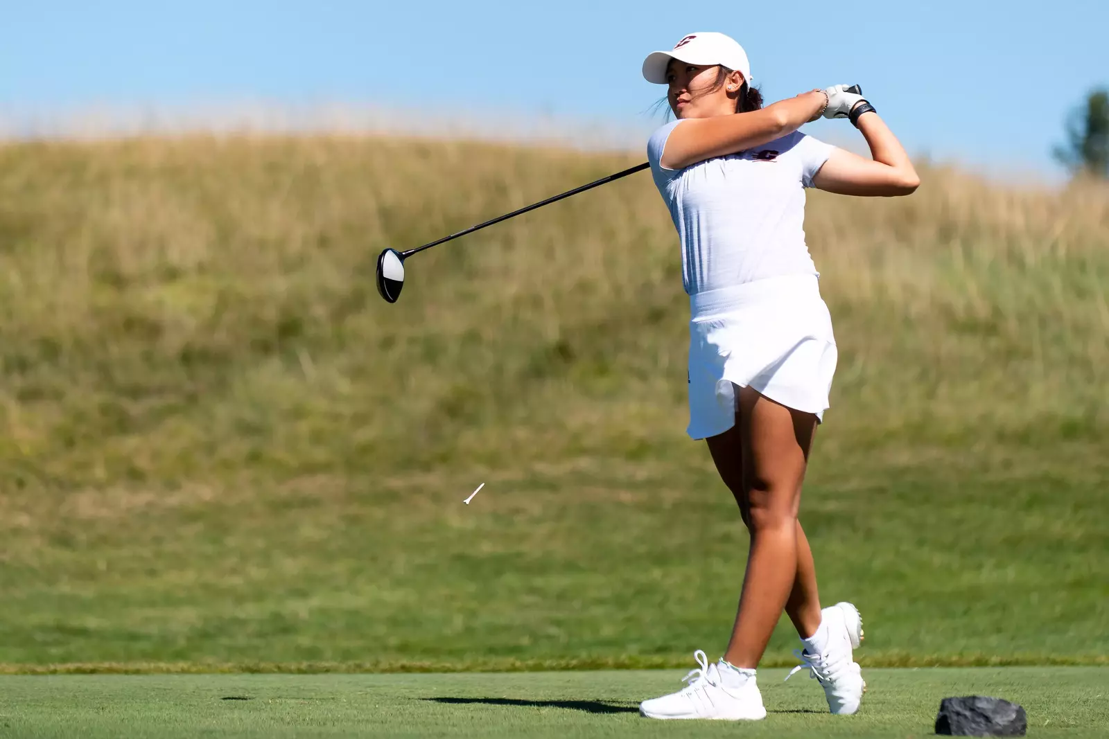 Central Michigan University