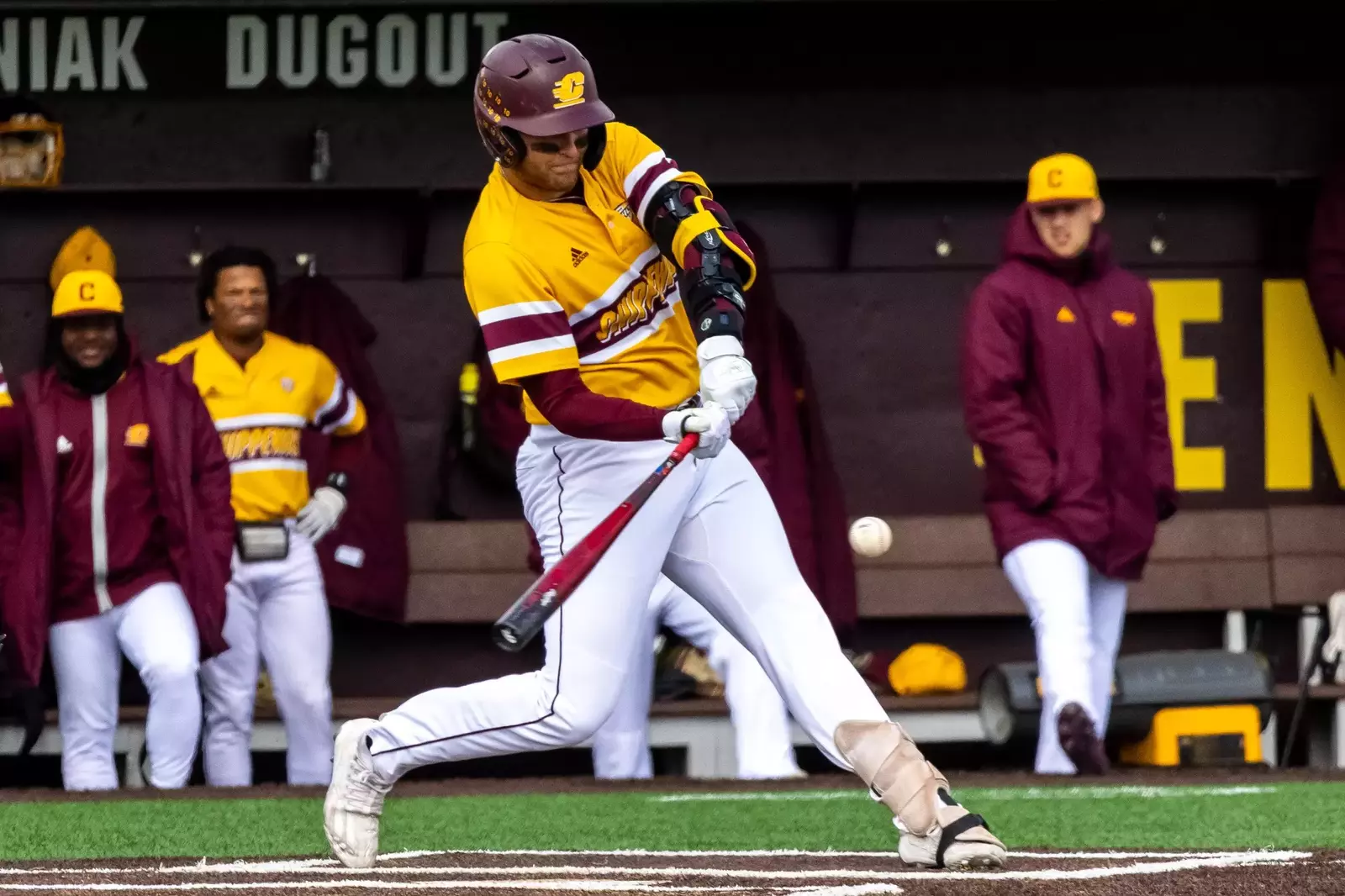 Central Michigan University