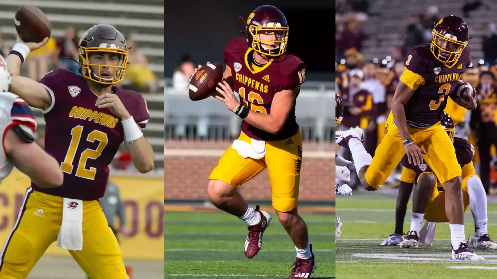 Central Michigan University