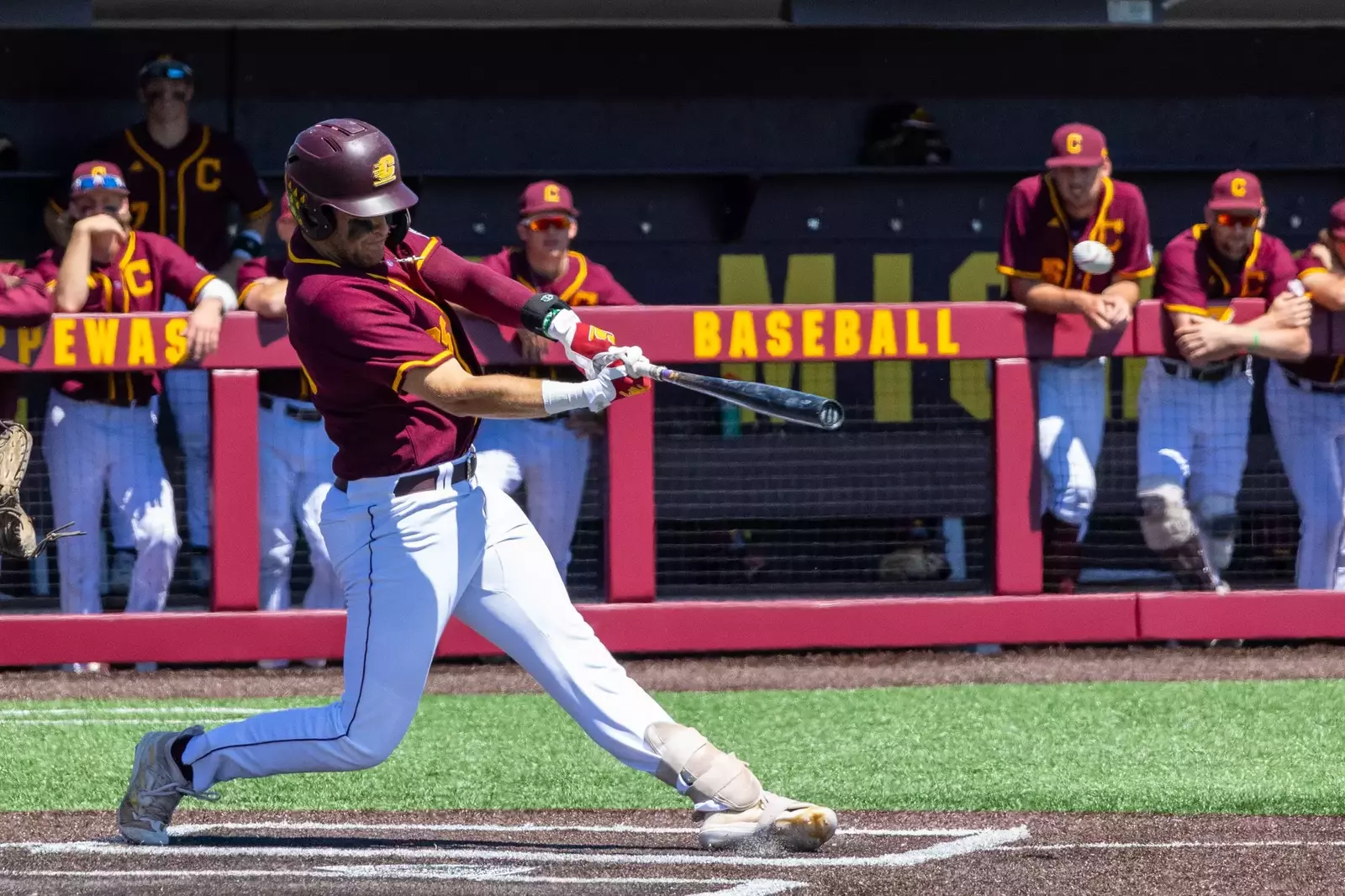 Central Michigan University