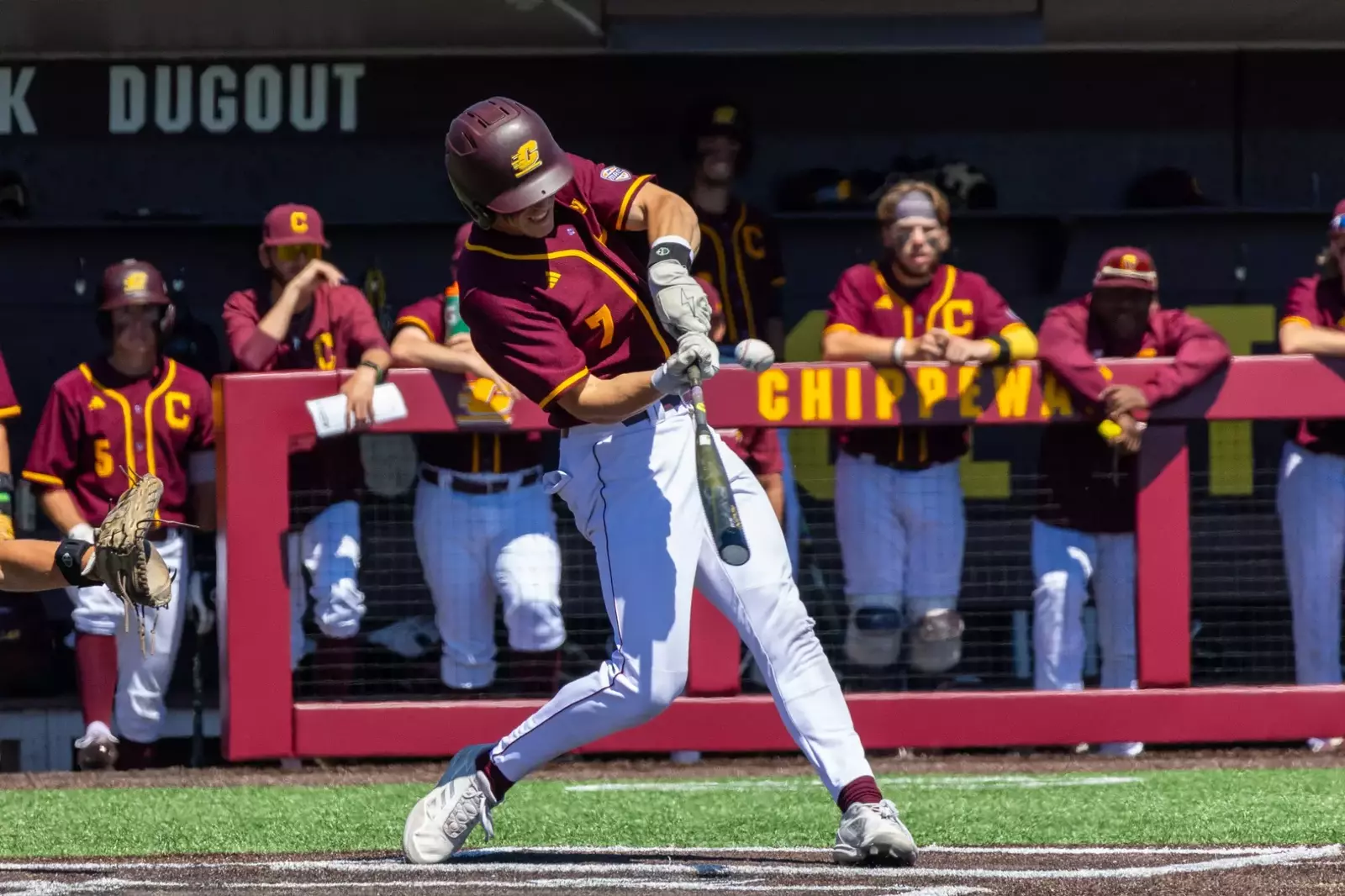 Central Michigan University