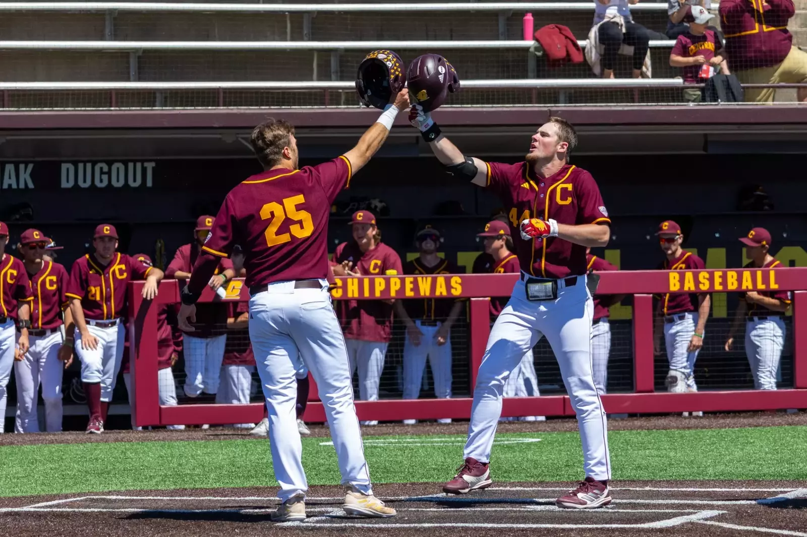 Central Michigan University