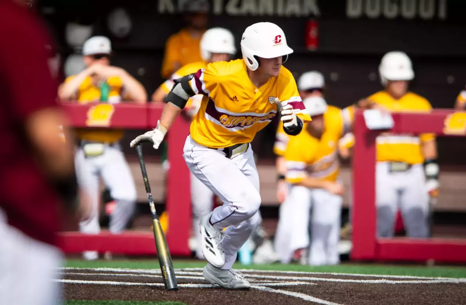 Central Michigan University