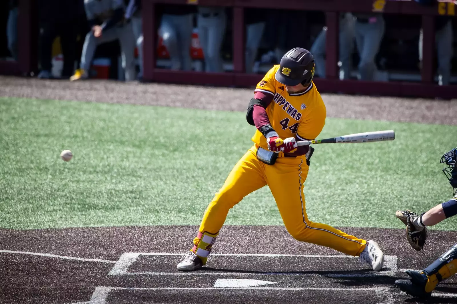 Central Michigan University