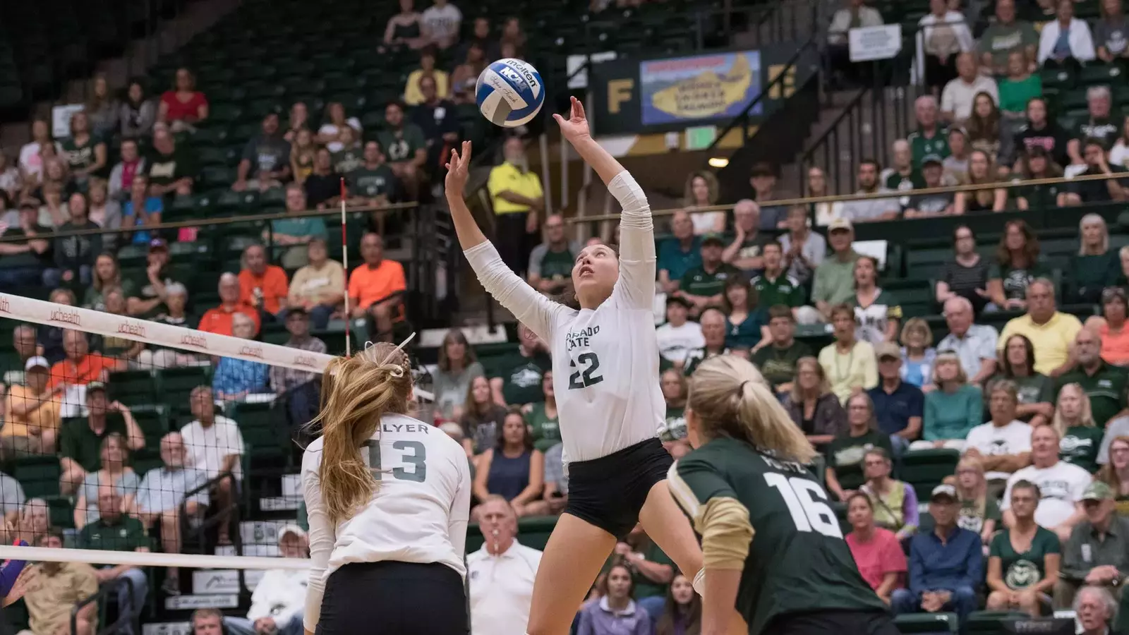 Colorado State University