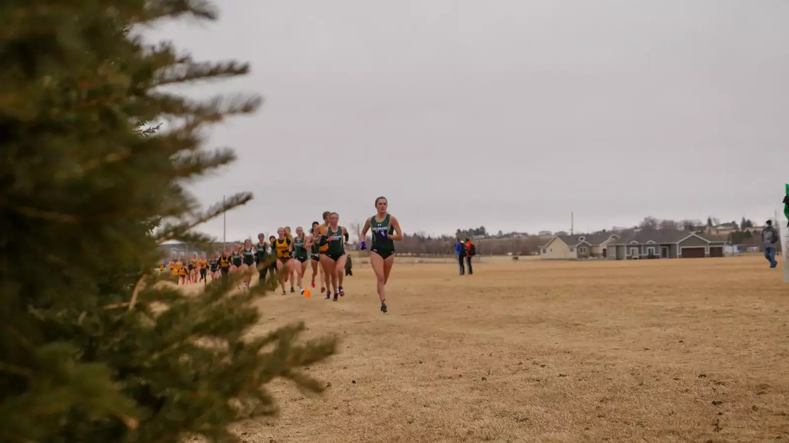 Colorado State University