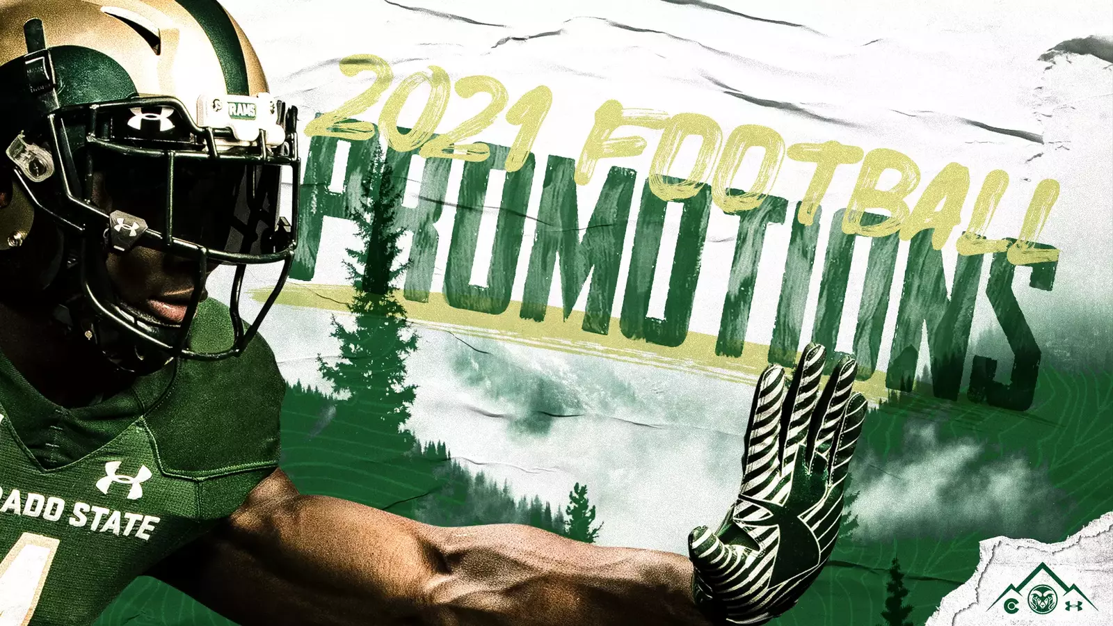 Colorado State University
