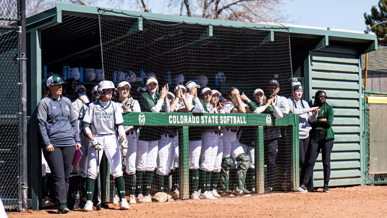 Colorado State University
