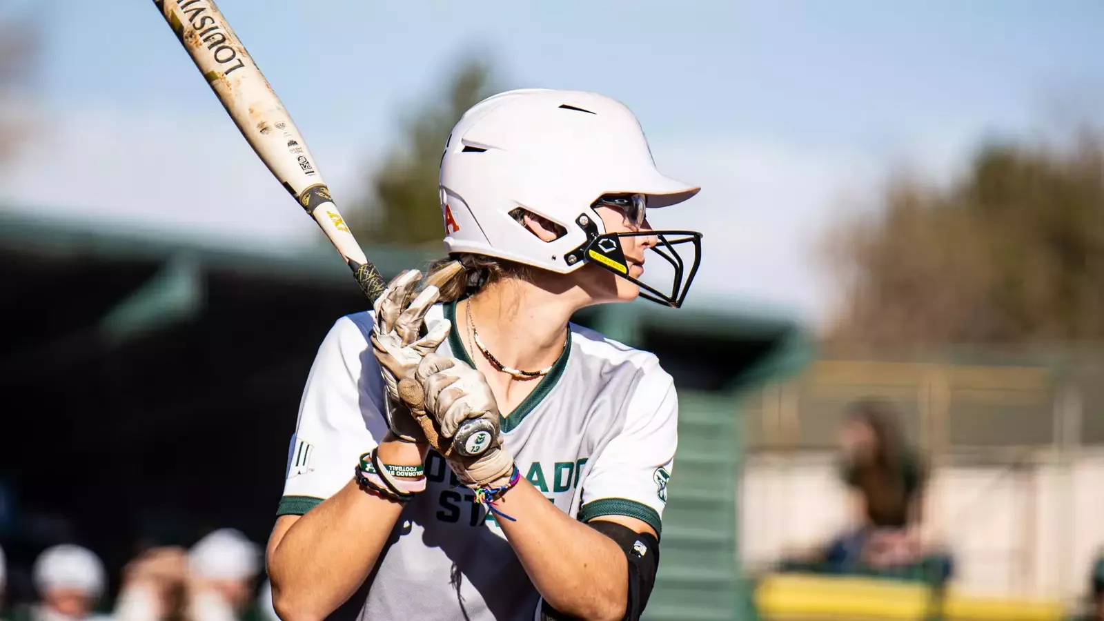 Colorado State University