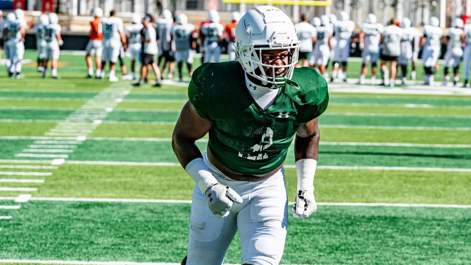 Colorado State University