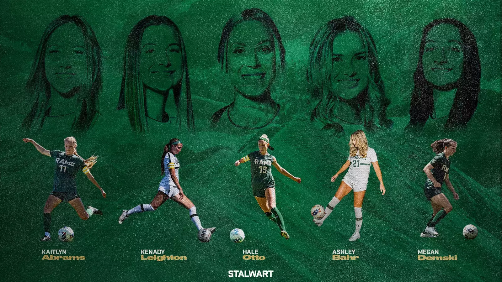 Colorado State University