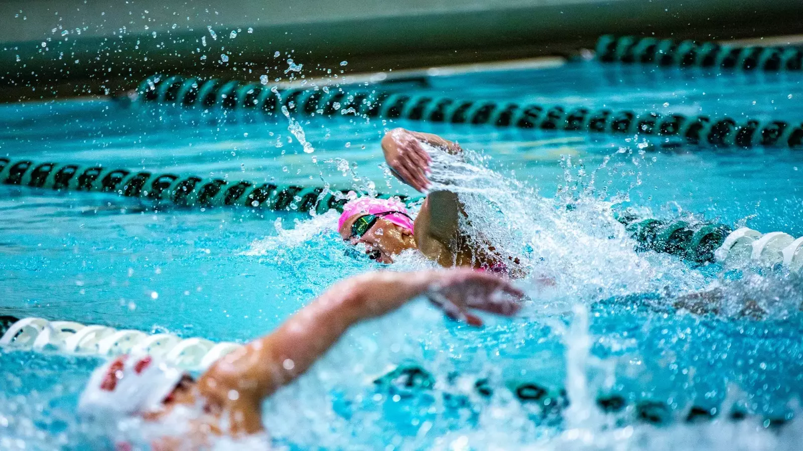 Colorado State University