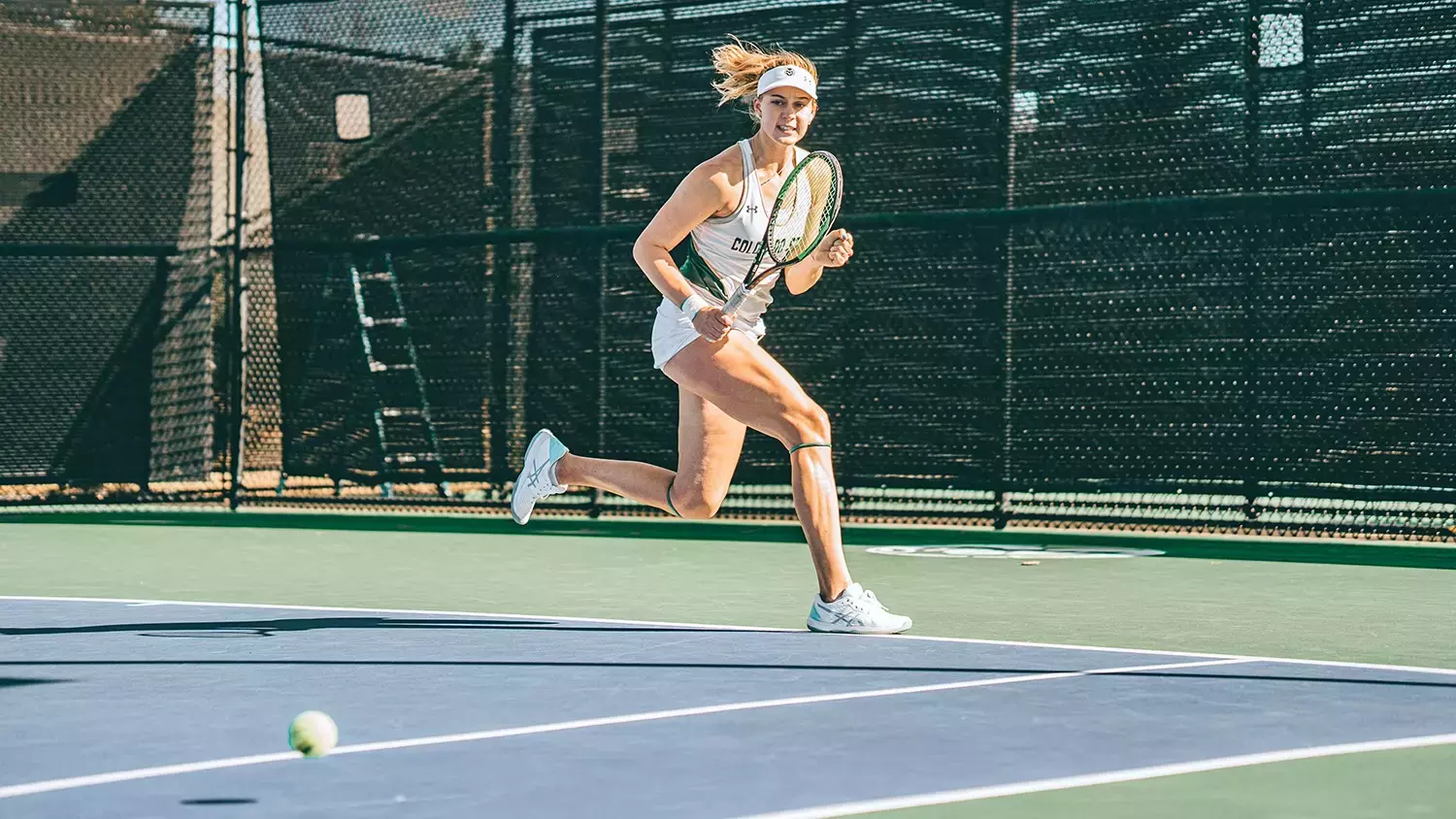 Colorado State University