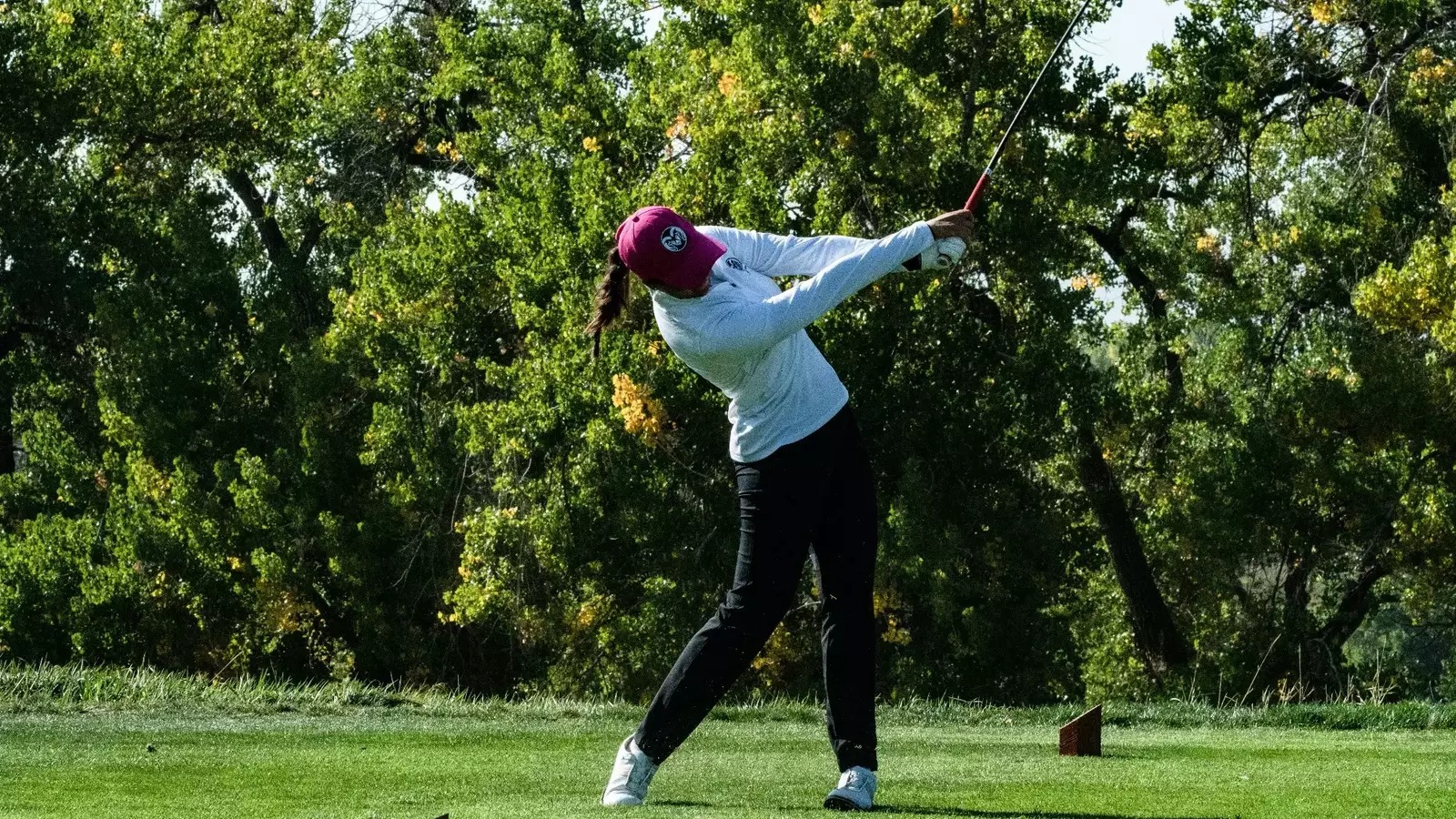 Colorado State University