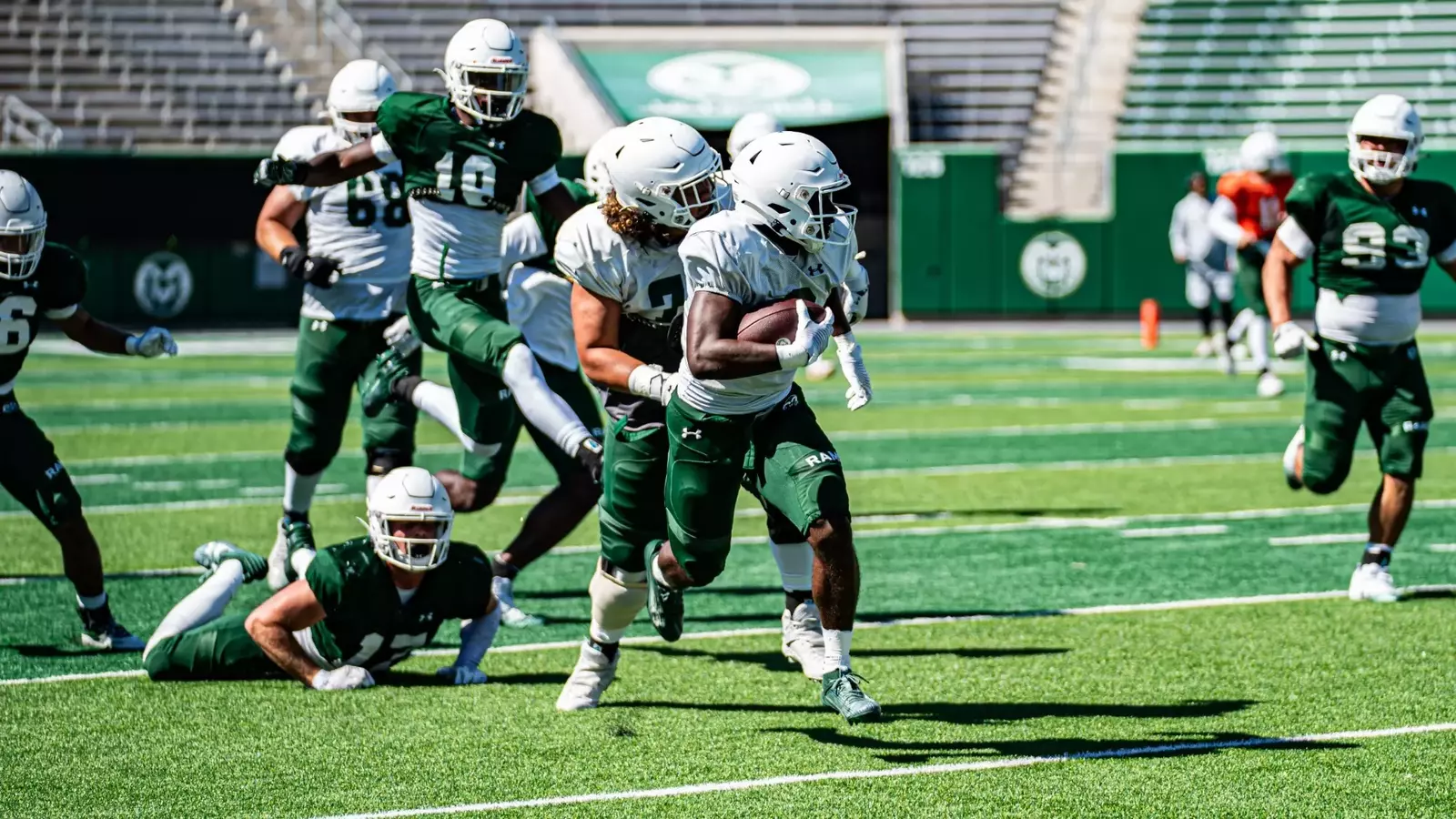 Colorado State University