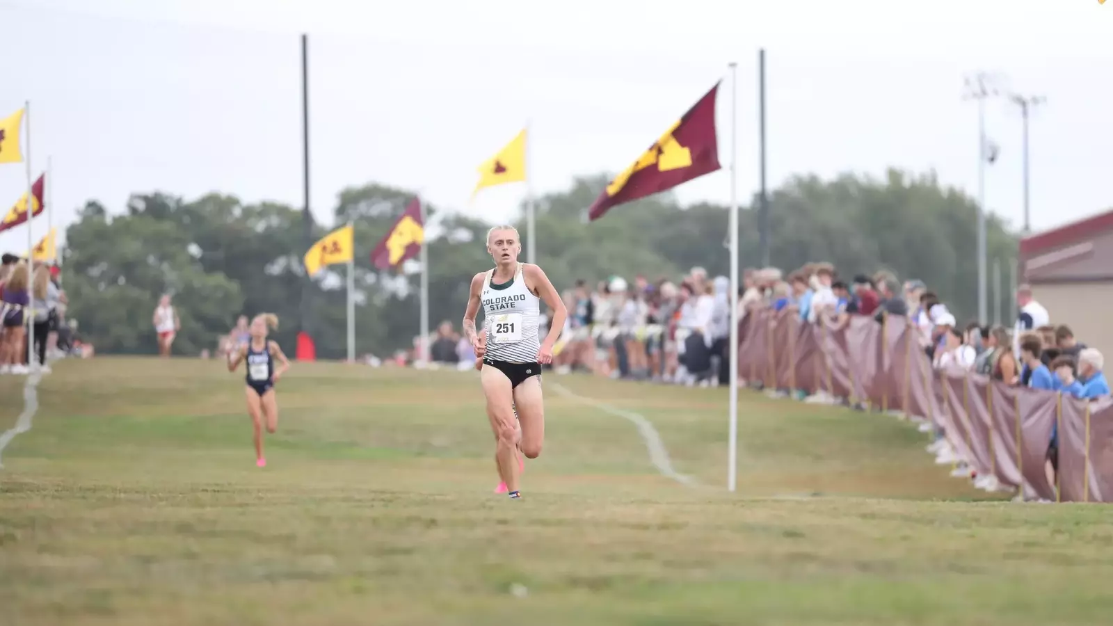 Colorado State University