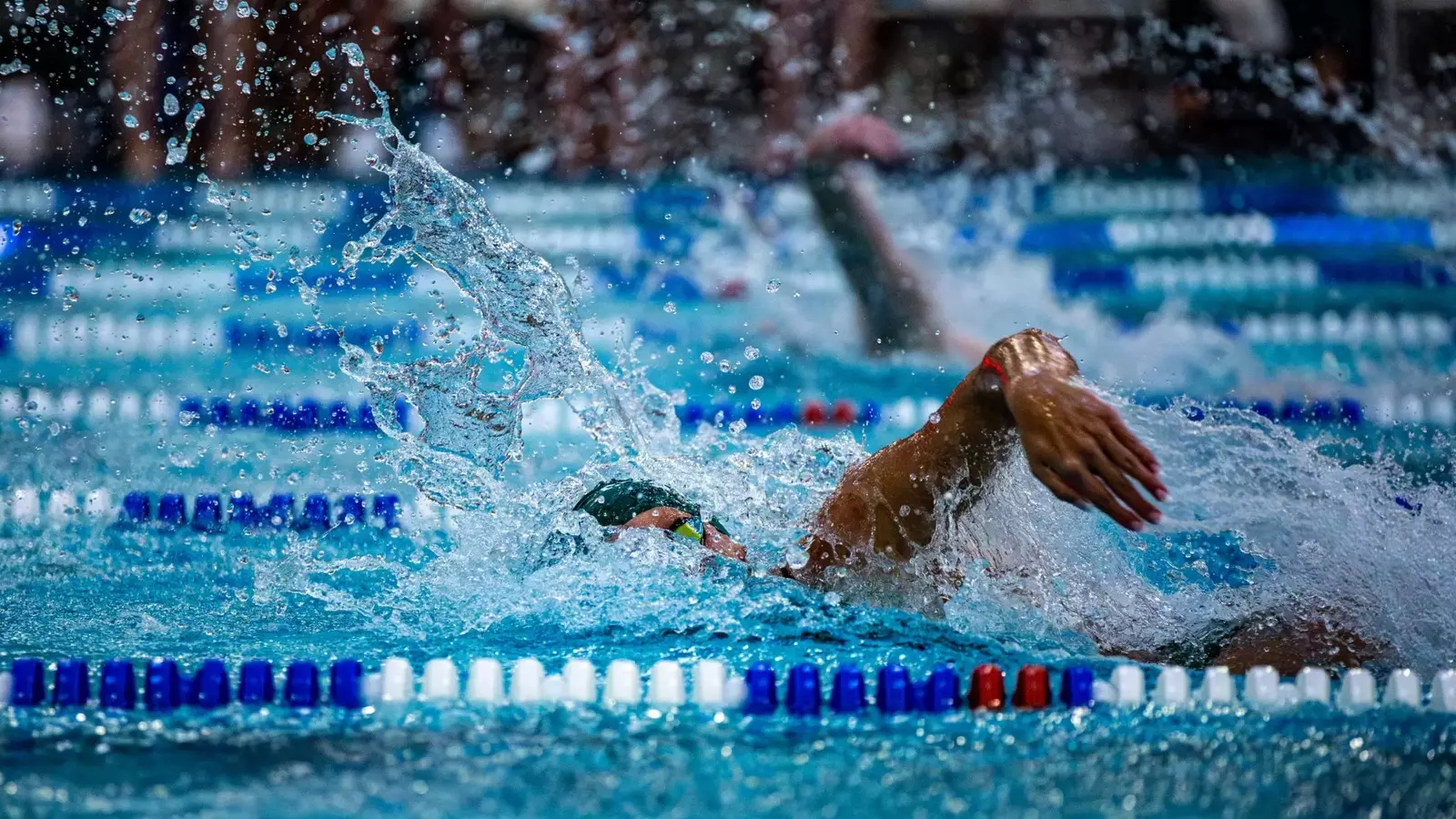 Colorado State University