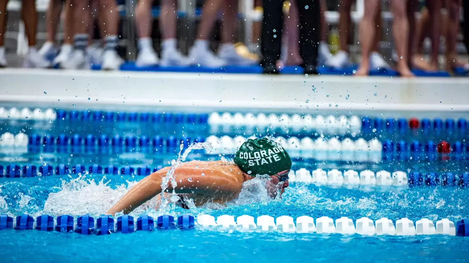 Colorado State University