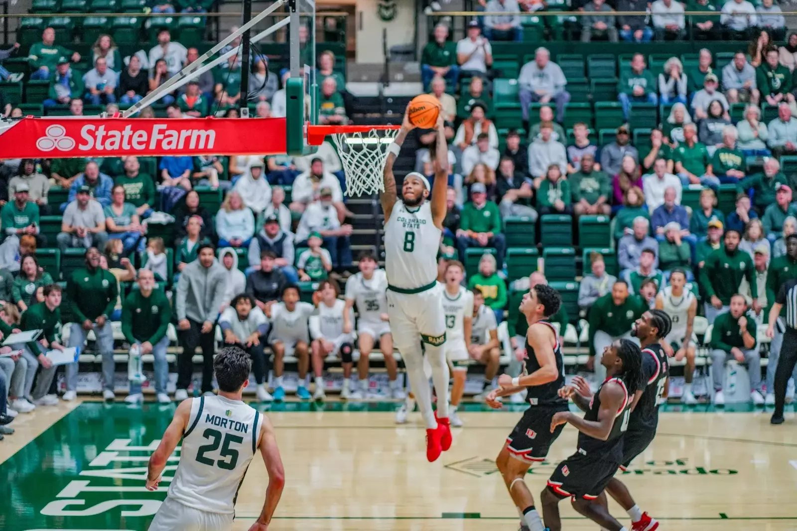 Colorado State University