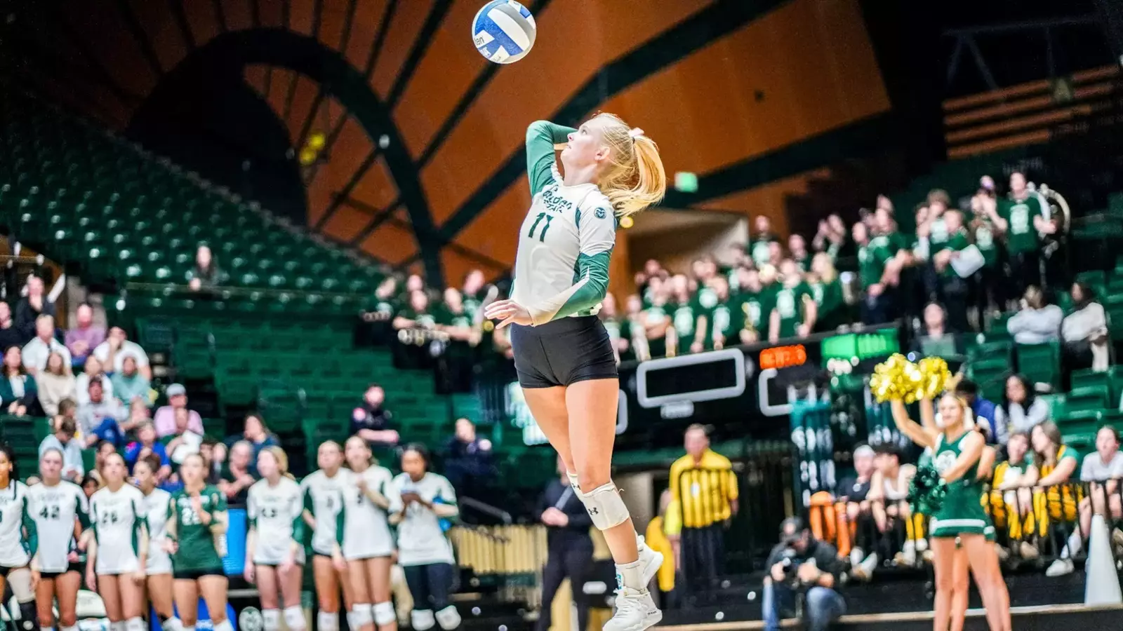 Colorado State University
