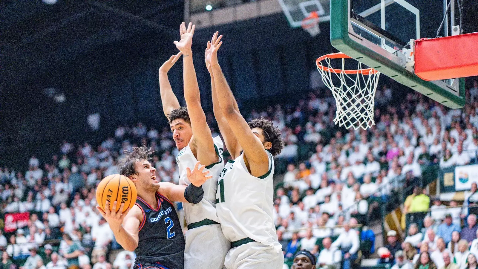 Colorado State University