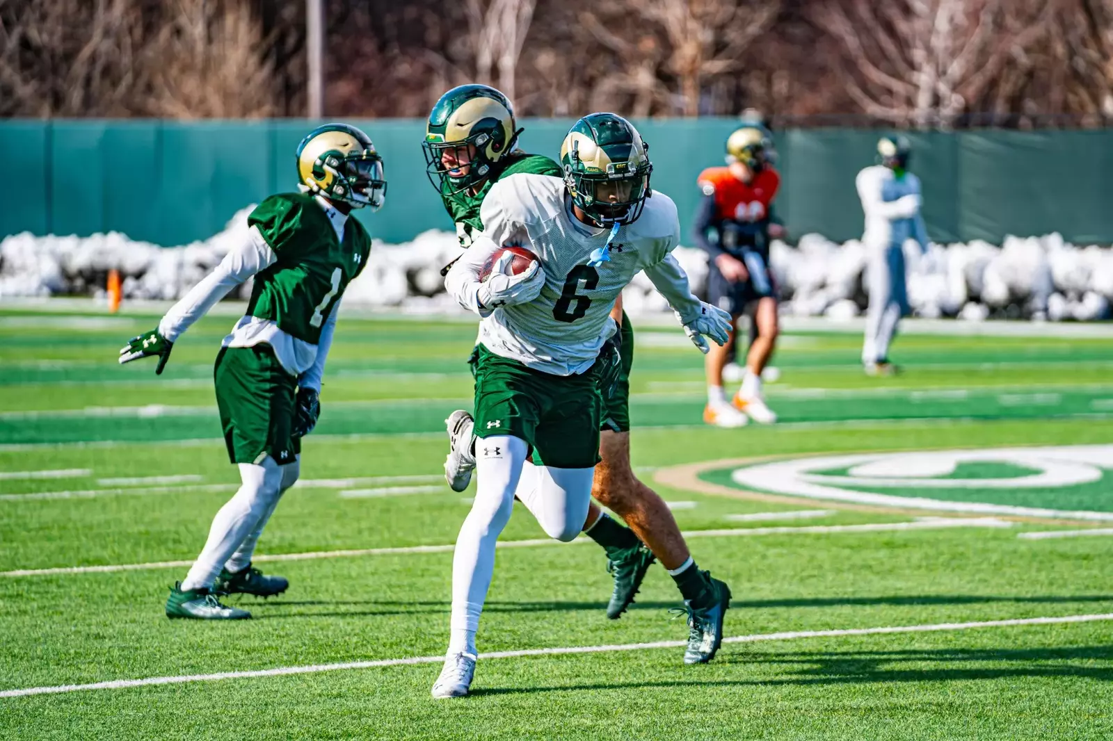 Colorado State University