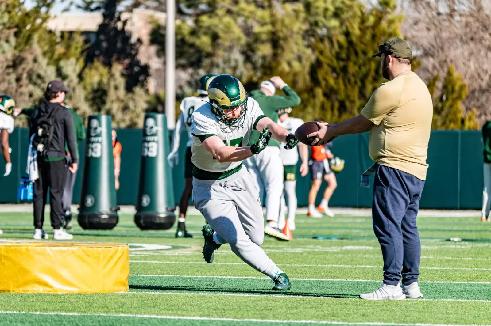 Colorado State University