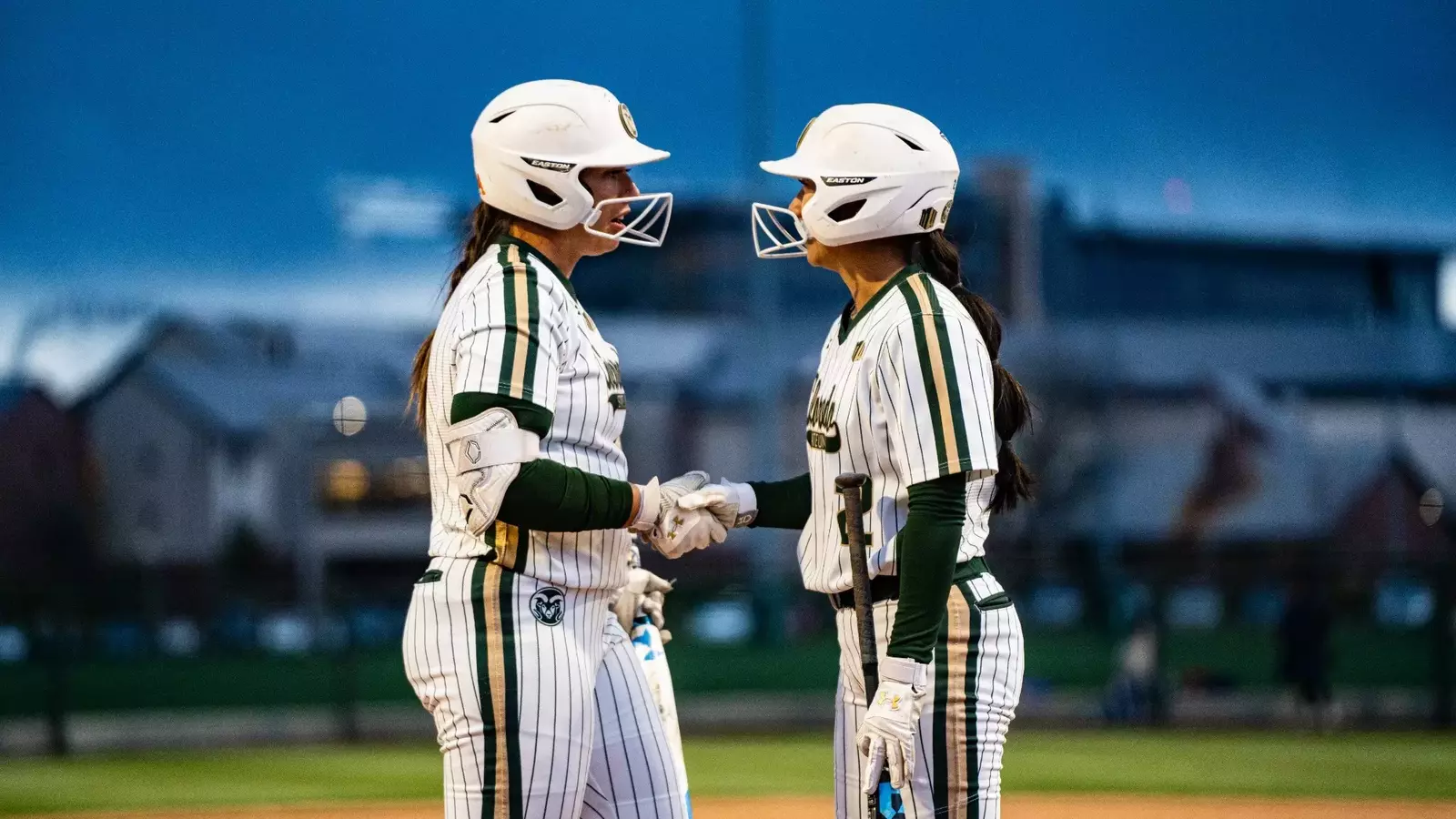 Colorado State University