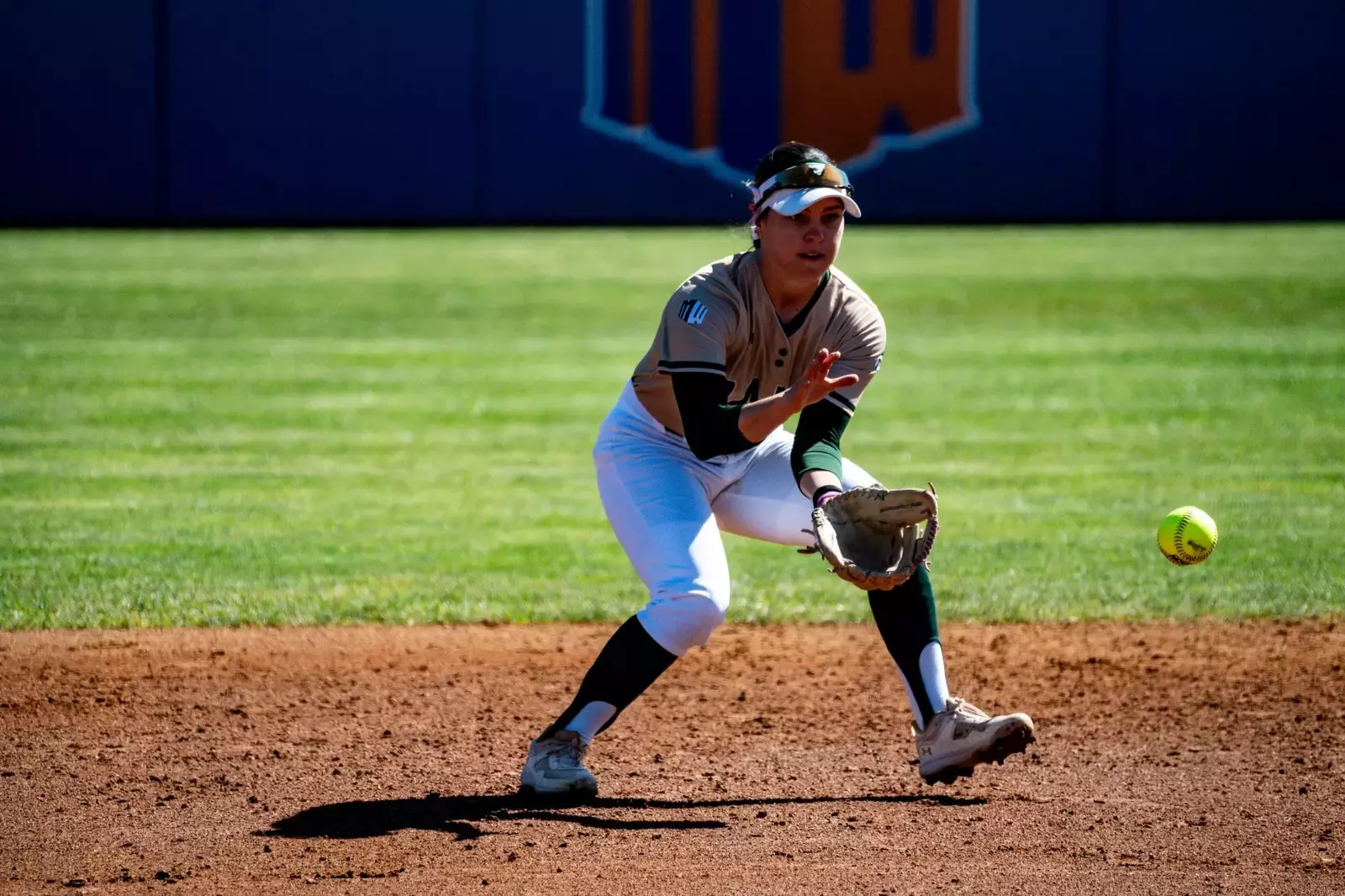 Colorado State University