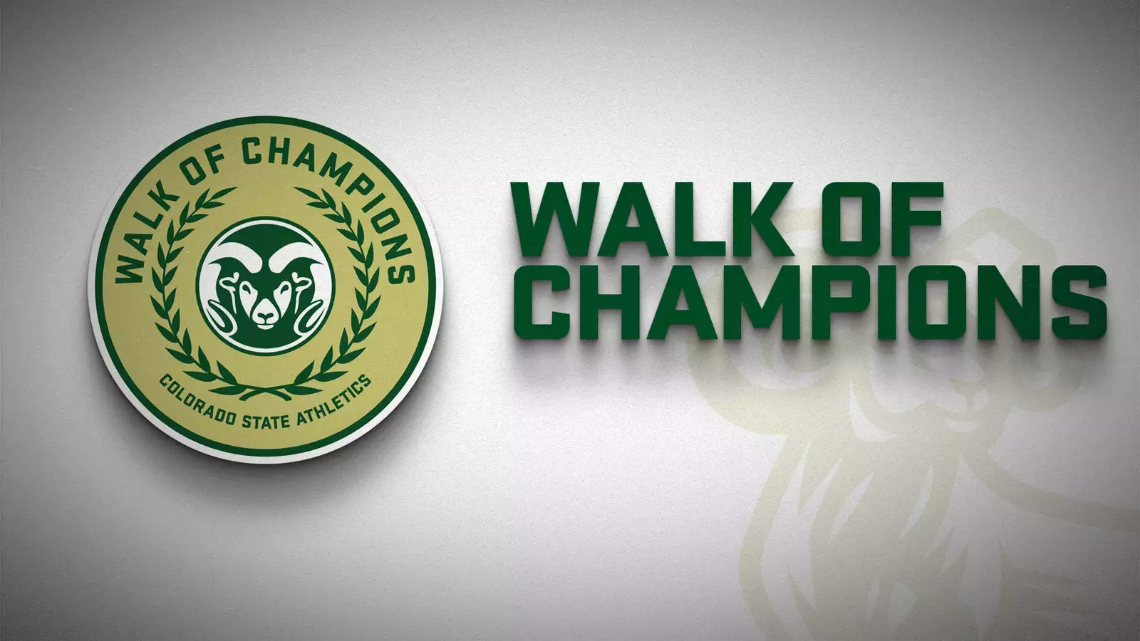 Colorado State University