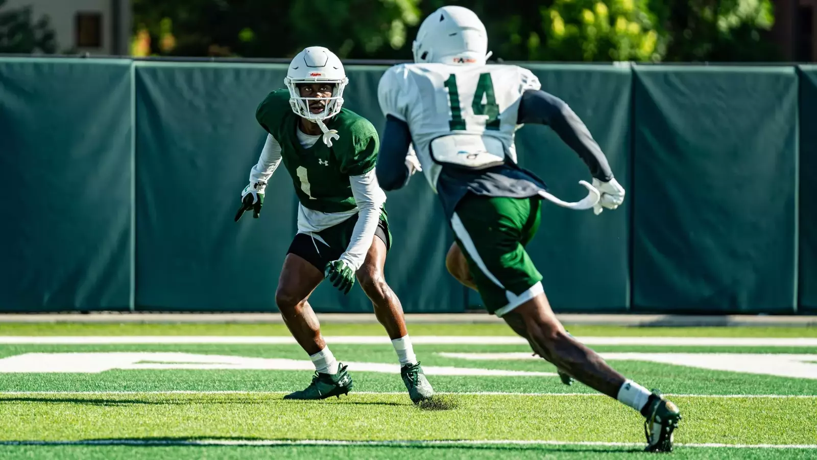 Colorado State University