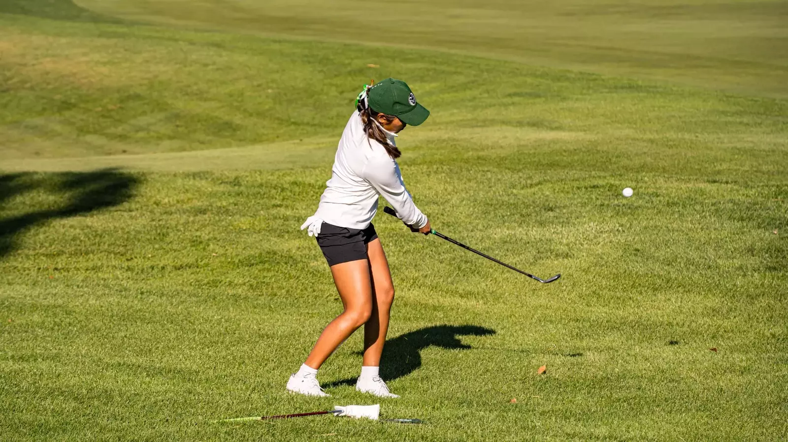 Colorado State University