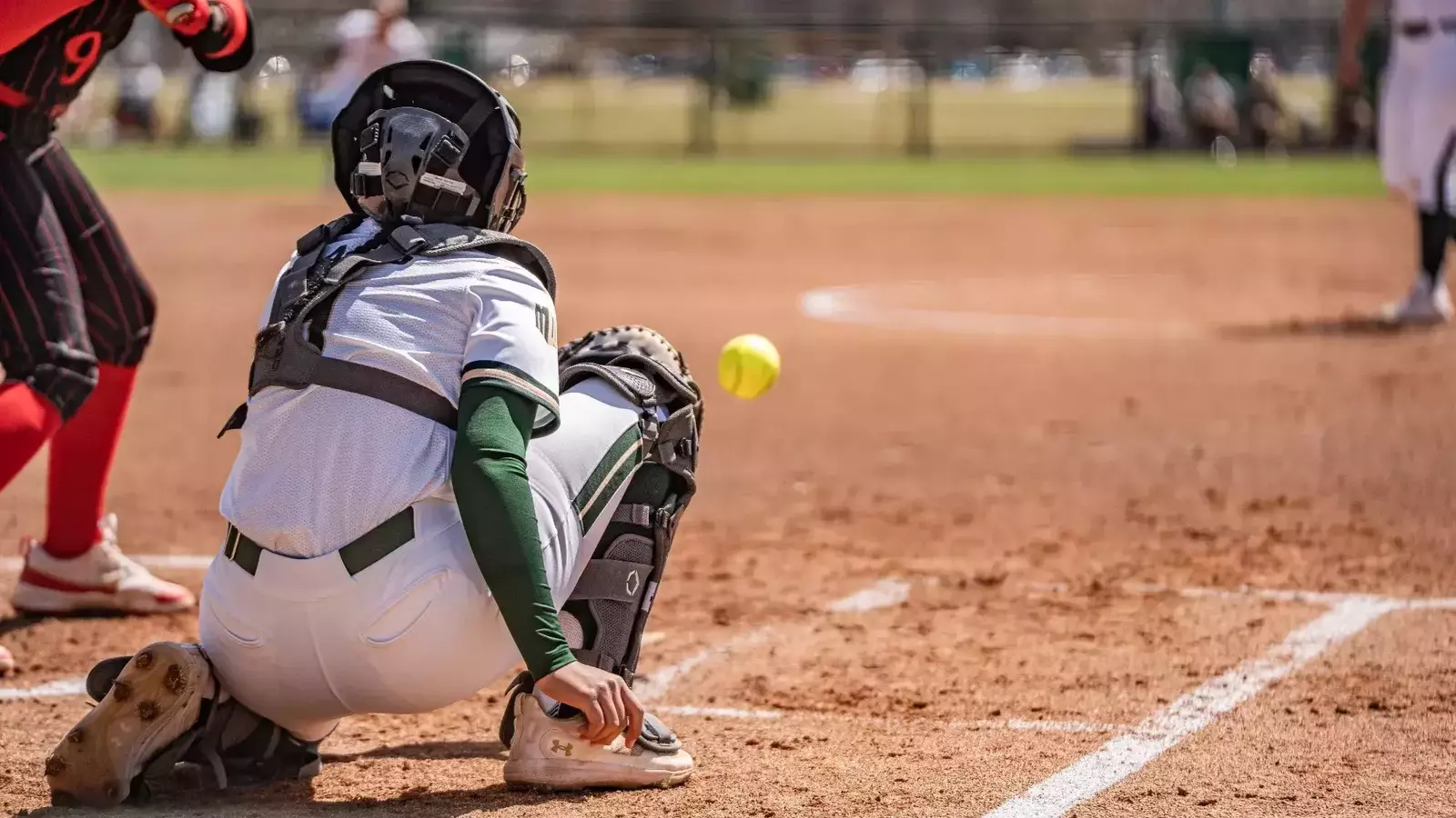 Colorado State University
