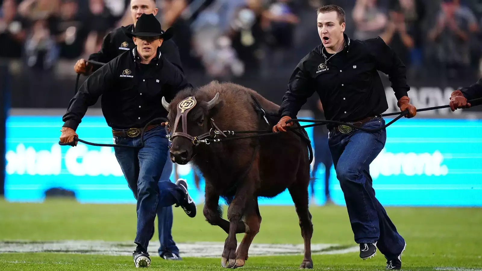 University of Colorado Athletics