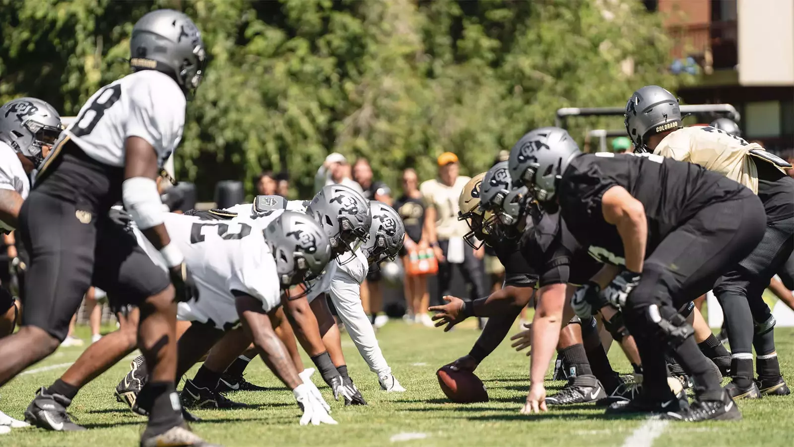 University of Colorado Athletics
