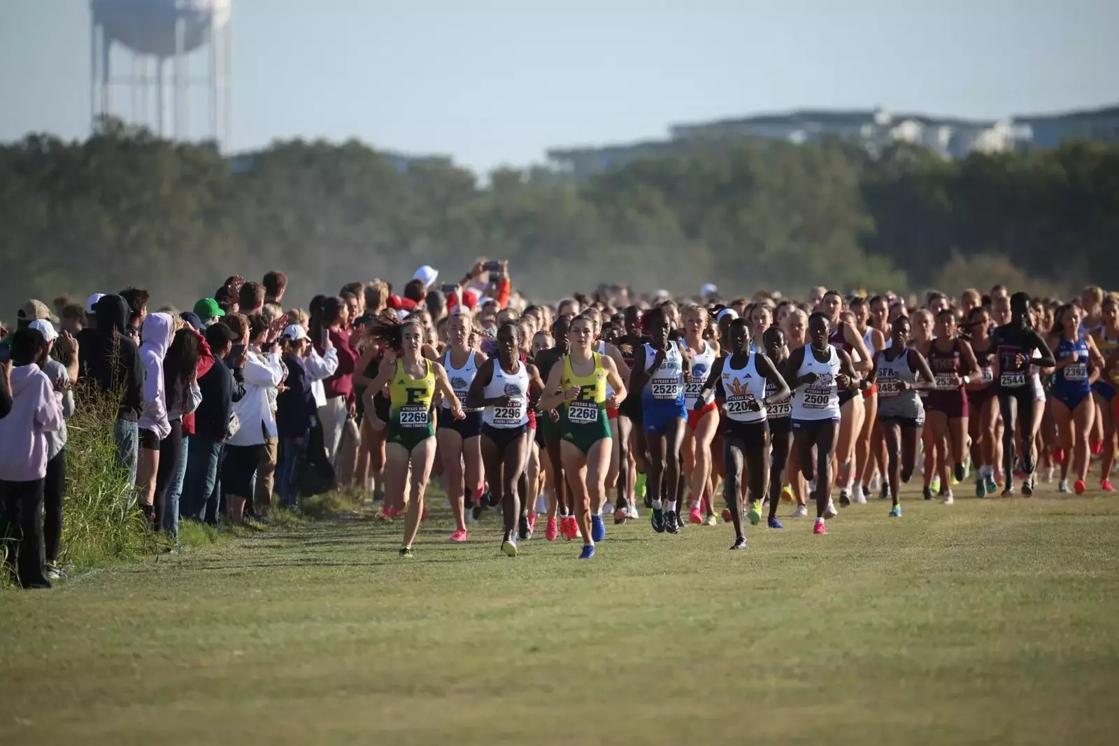 University of Colorado Athletics