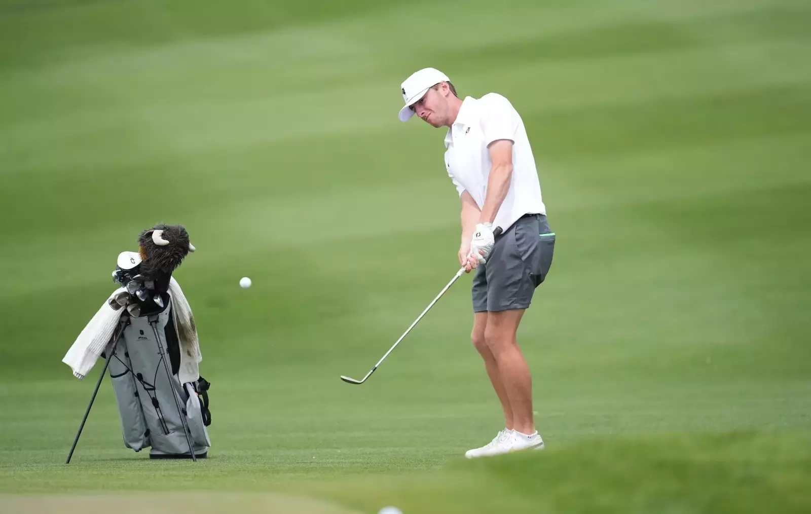 University of Colorado Athletics