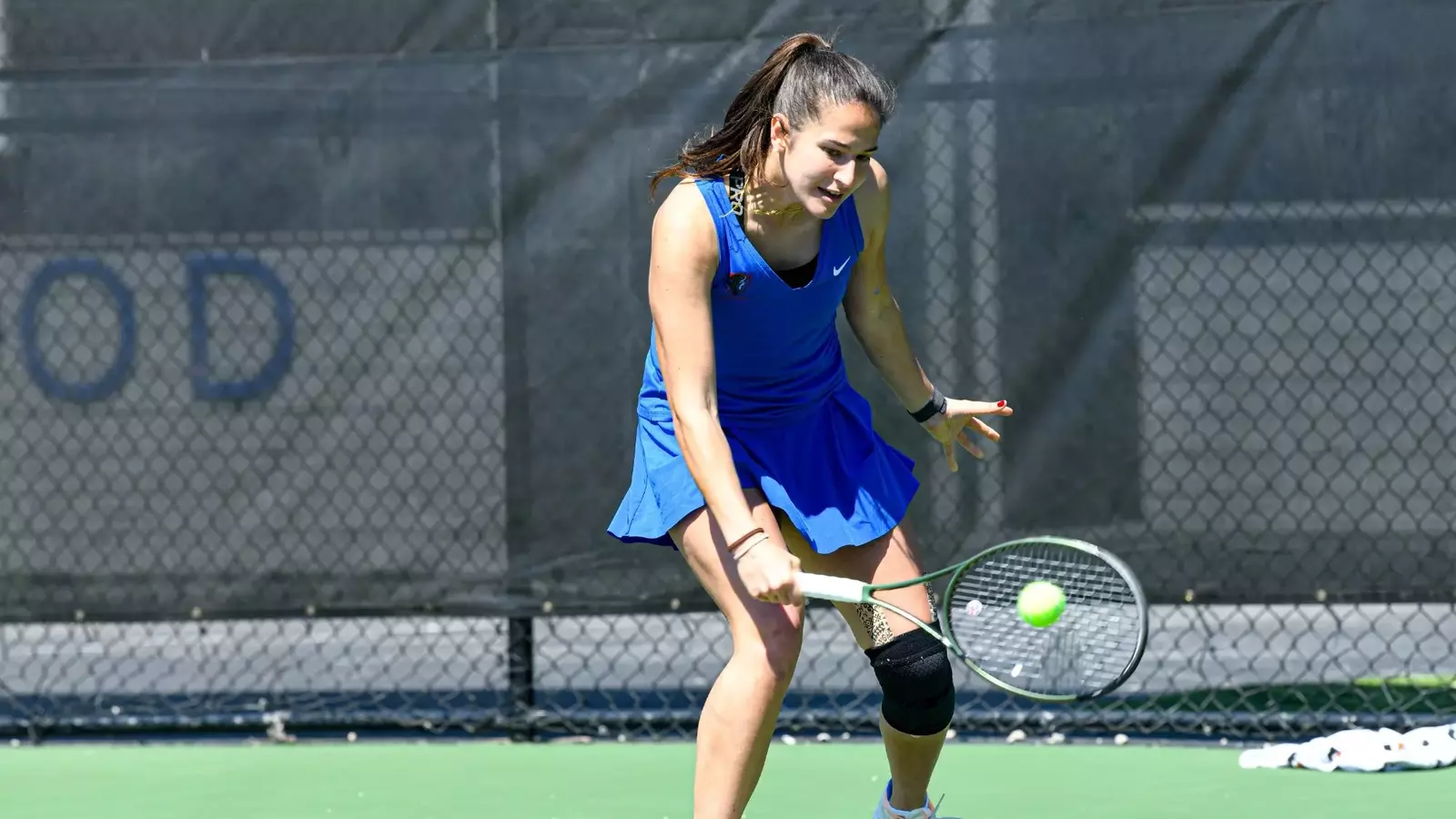 DePaul University Blue Demons - Official Athletics Website