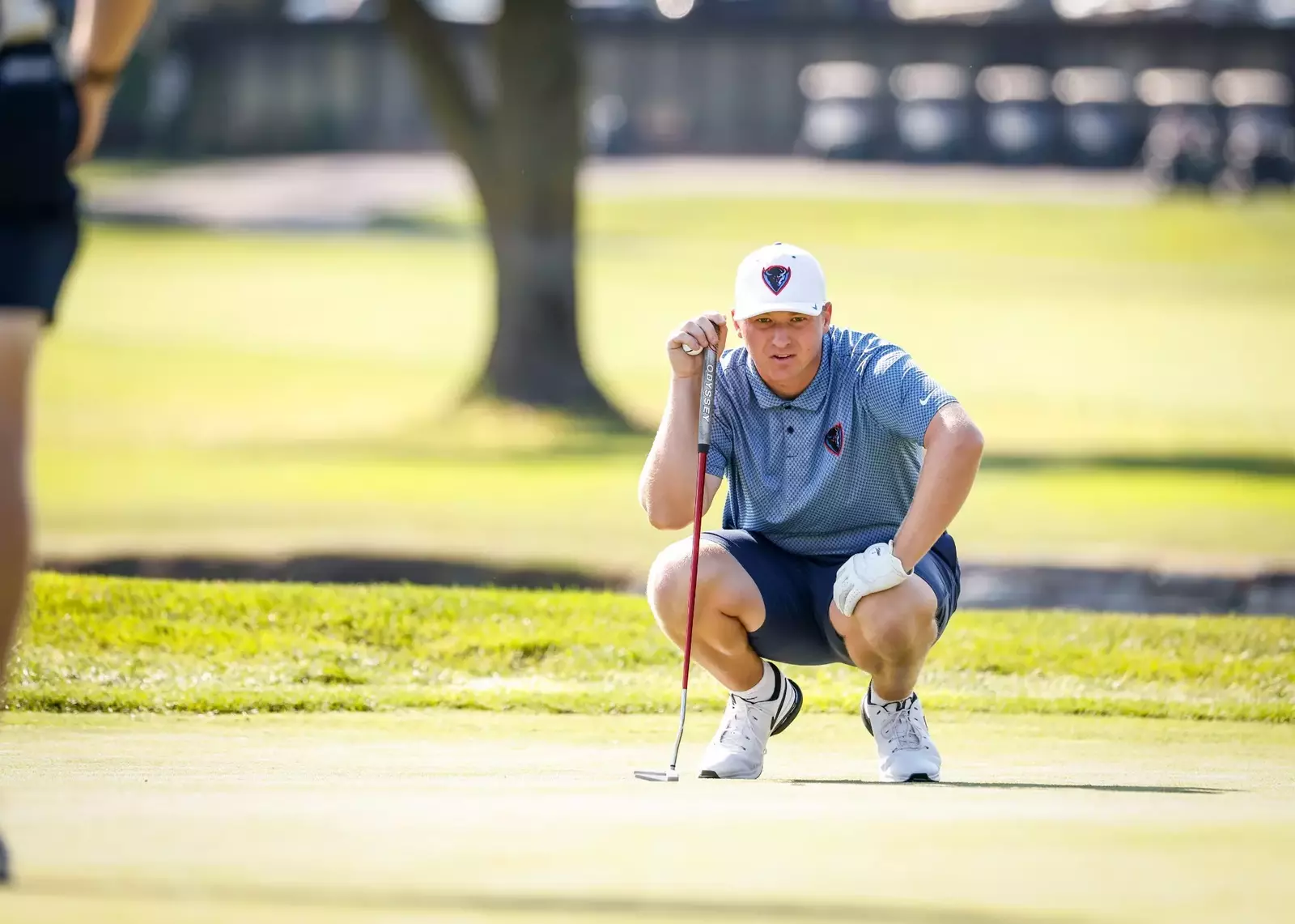 DePaul University Blue Demons - Official Athletics Website