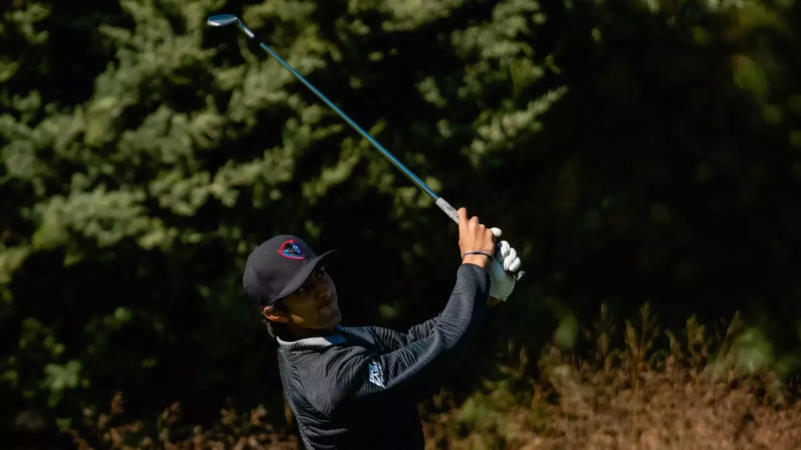 DePaul University Blue Demons - Official Athletics Website