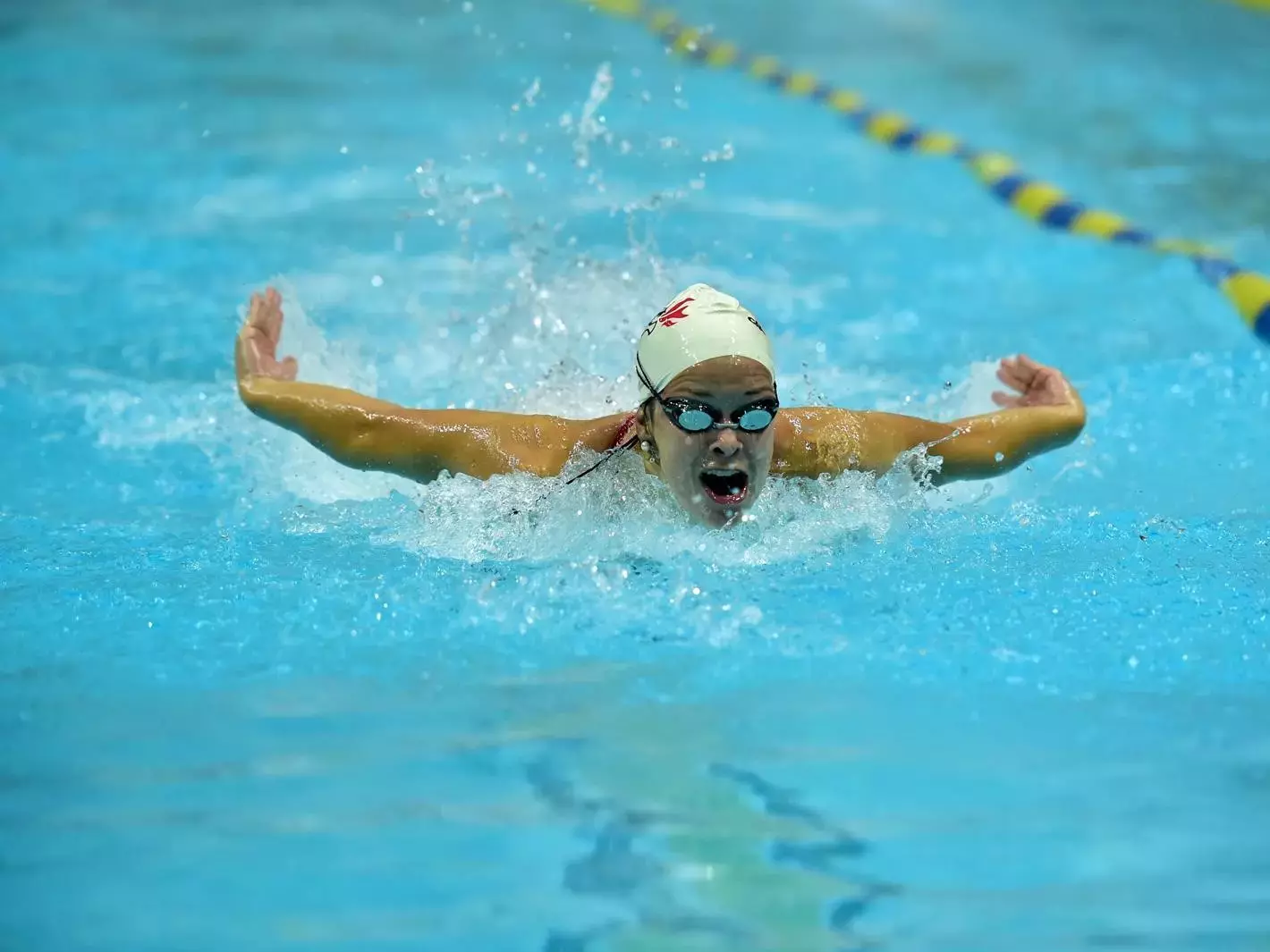 Men's and Women's Swimming and Diving Win Gold and Silver on Day One of ...