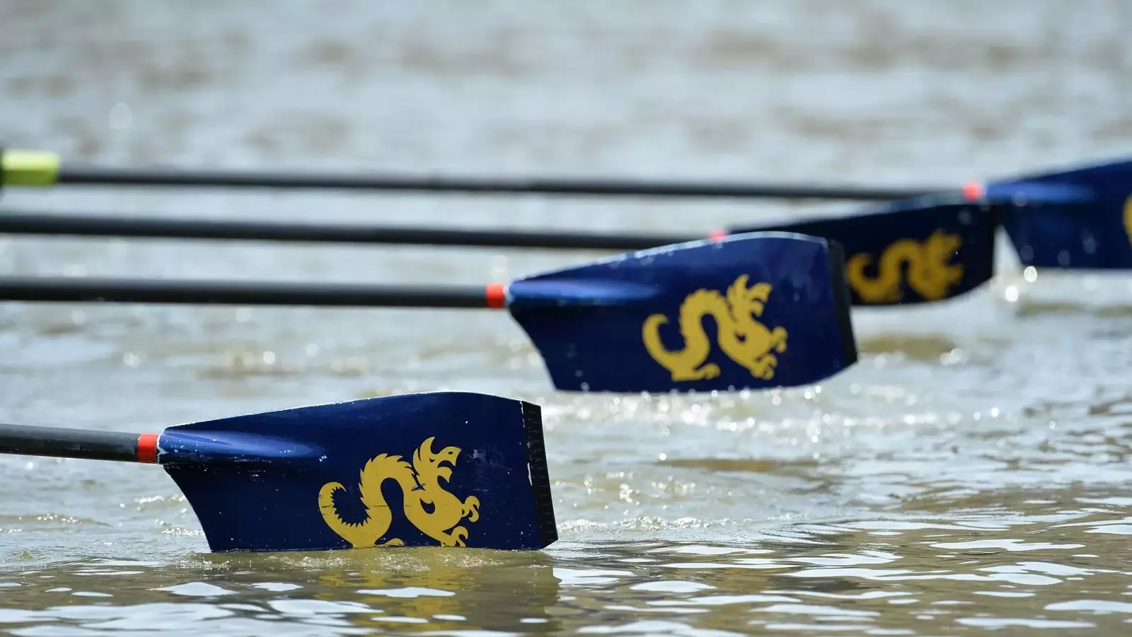 Men’s Rowing Announces 2020-21 Incoming Class - Drexel University Athletics