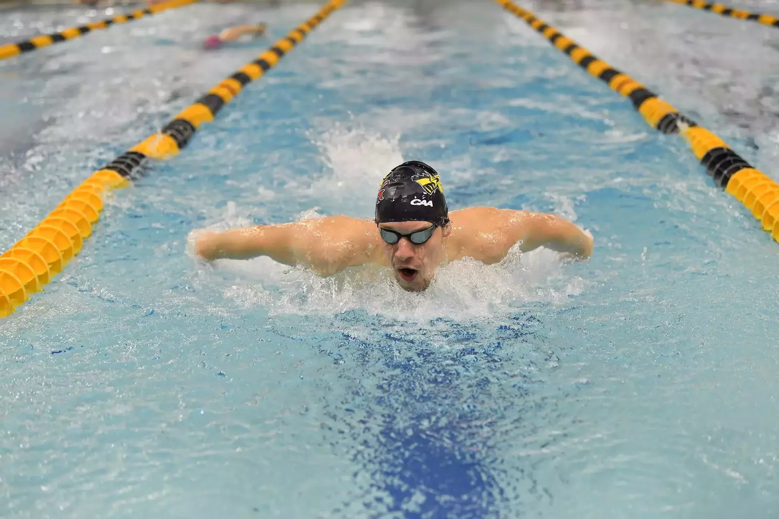 Men's Swimming Wins Two Medals on Second Night of CAA Championships ...