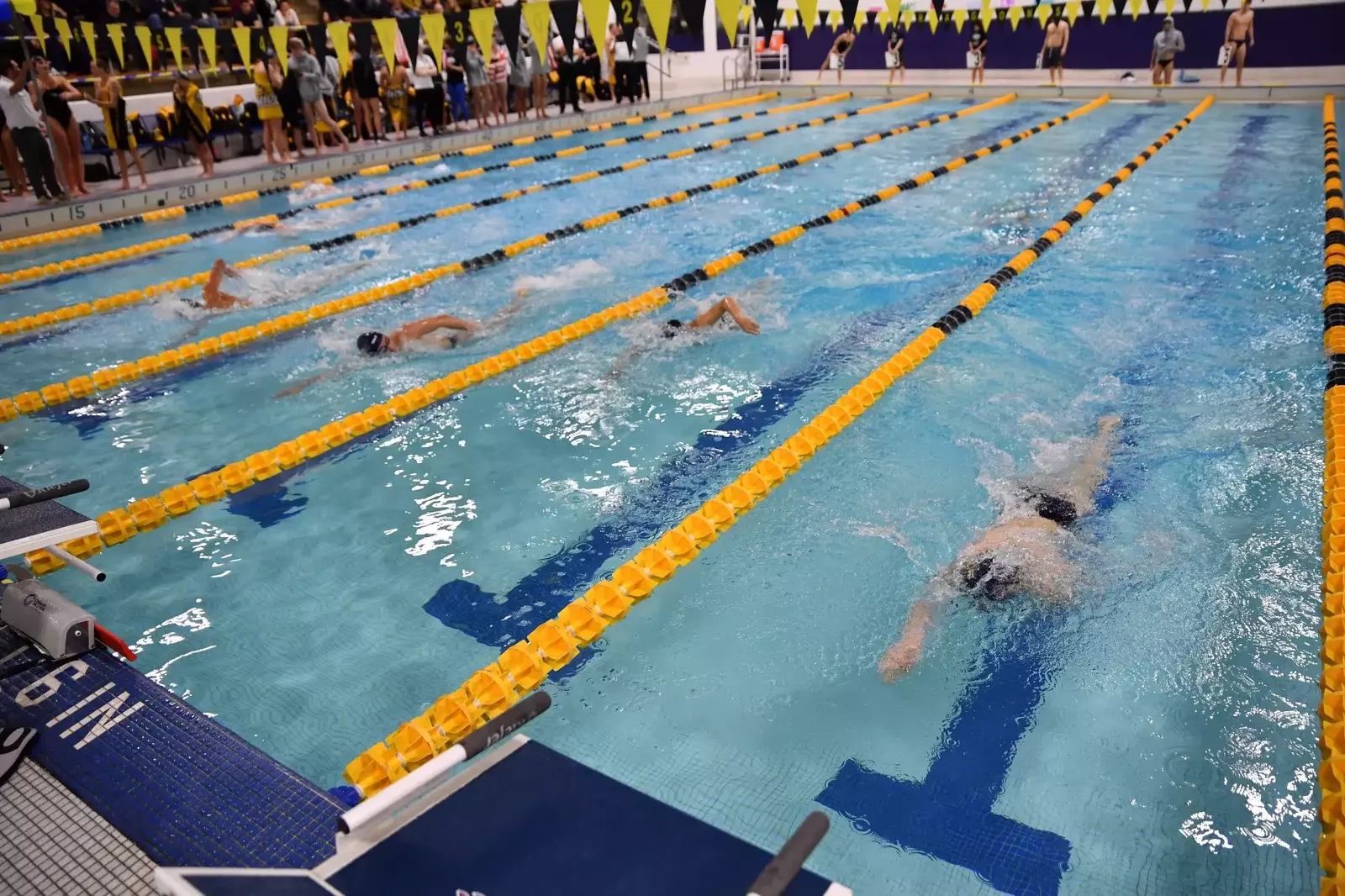 Women's Swim And Dive Defeat La Salle In Season Opener - Drexel ...