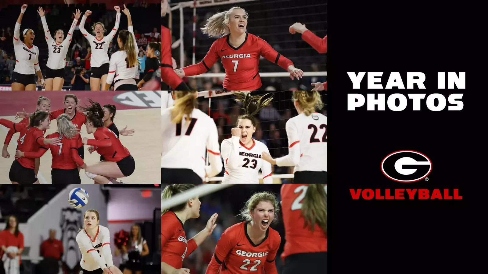 University of Georgia Athletics