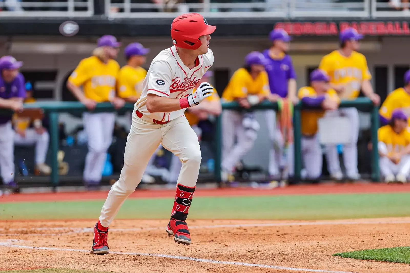 University of Georgia Athletics