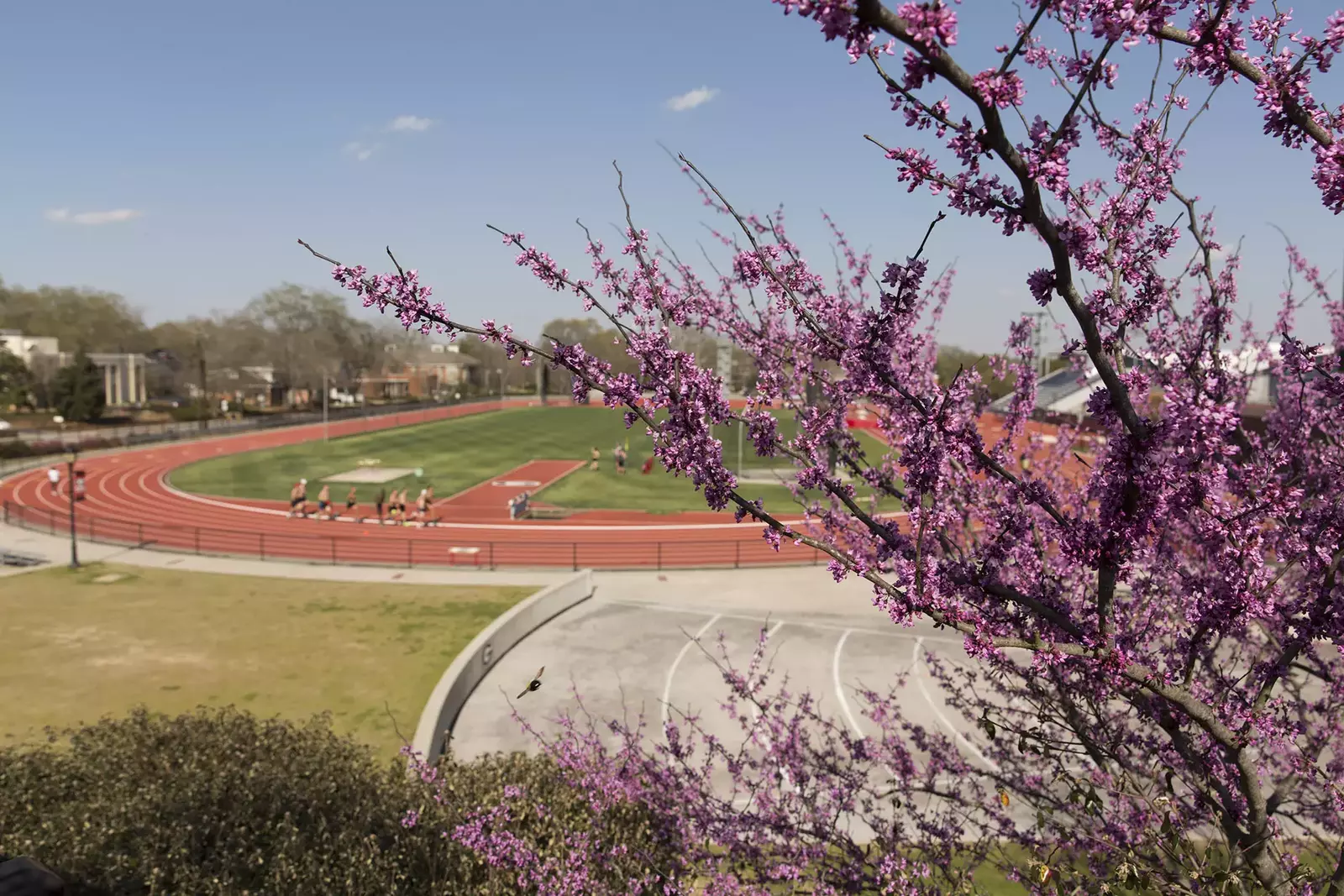 University of Georgia Athletics