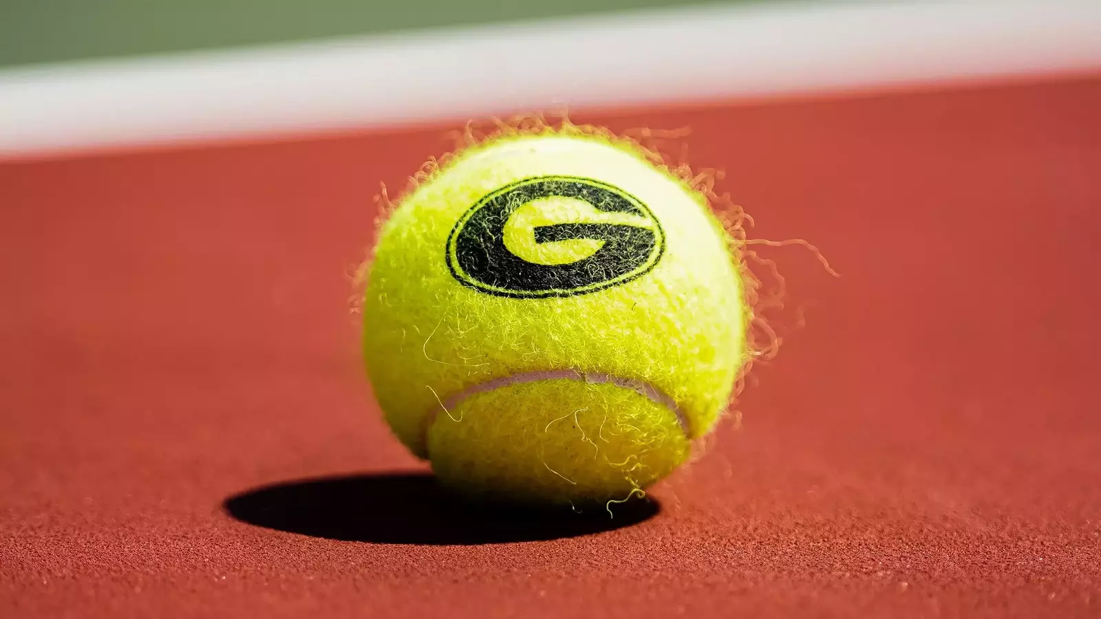 University of Georgia Athletics